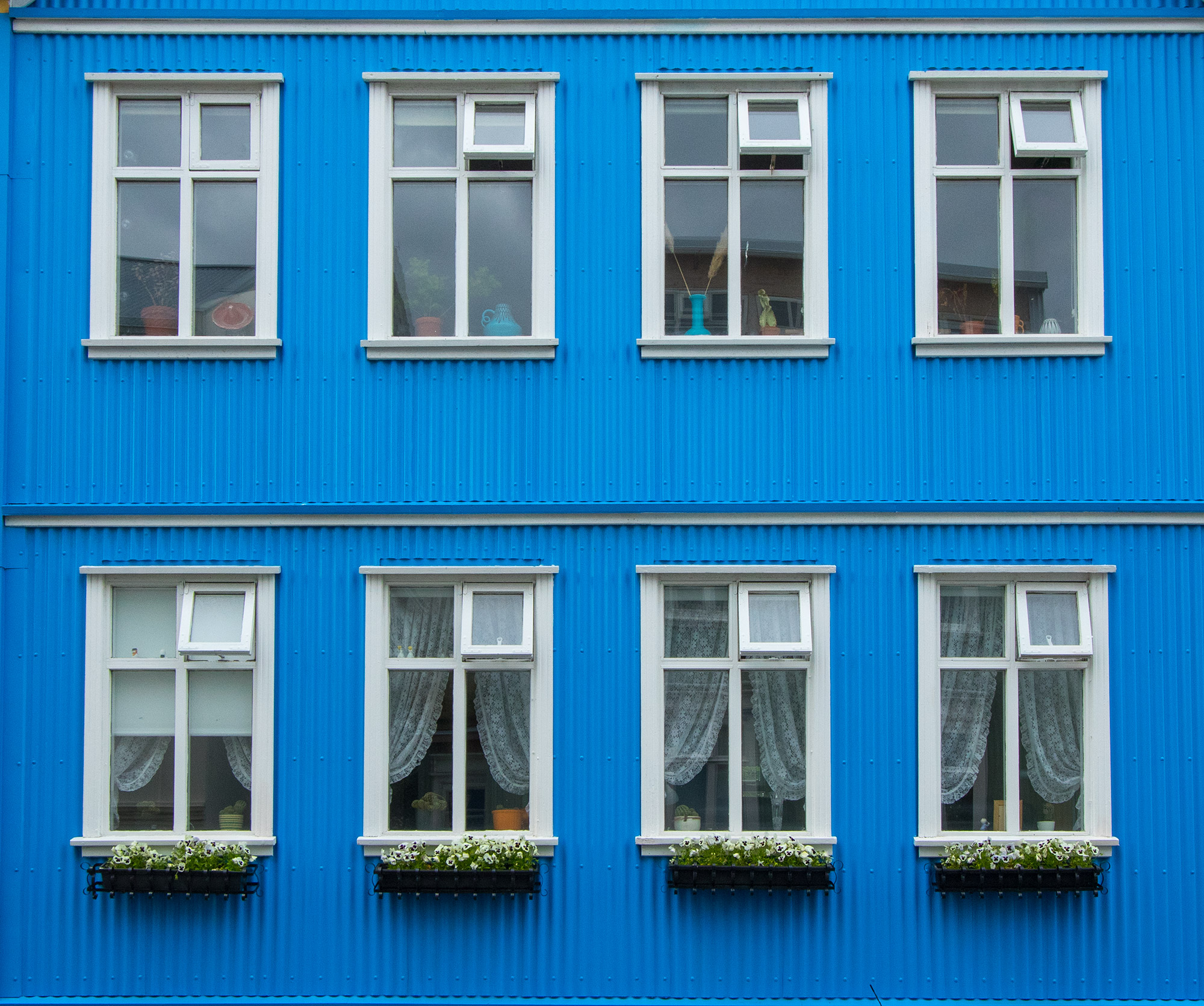 Doors and Windows of the World (Photo Gallery)