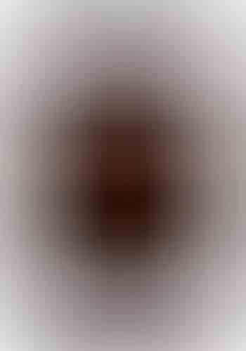 Hot Sauces of the World (Complete Guide to Types)