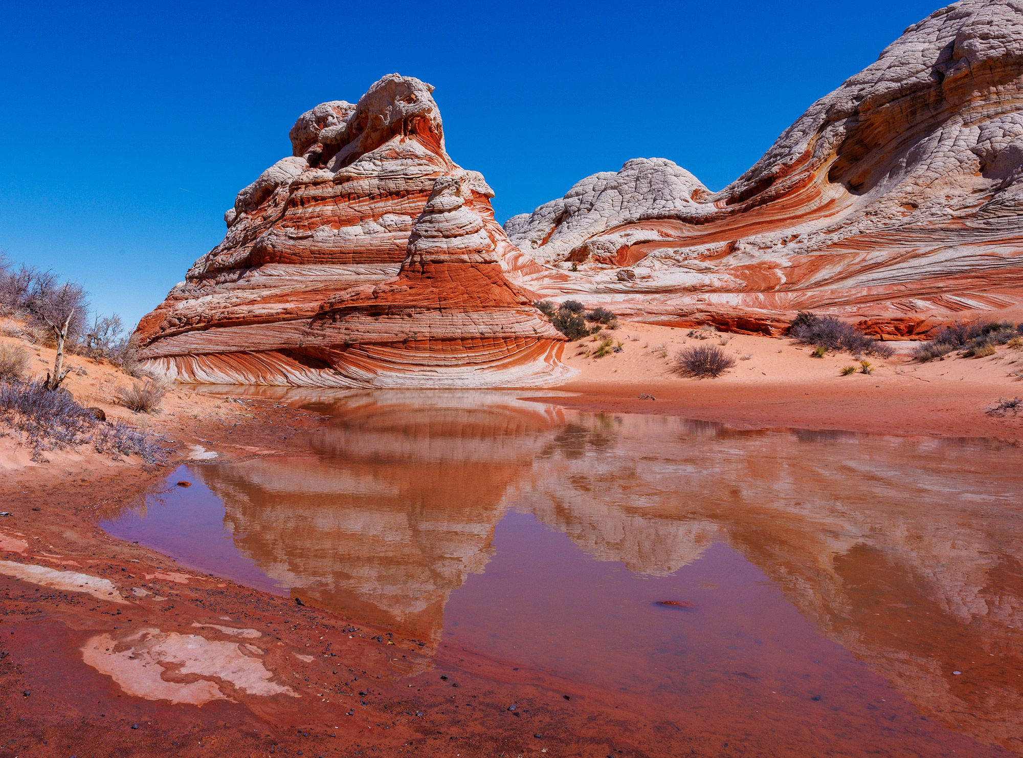 Vermillion Cliffs Grand Circle Tours Vermilion Cliffs